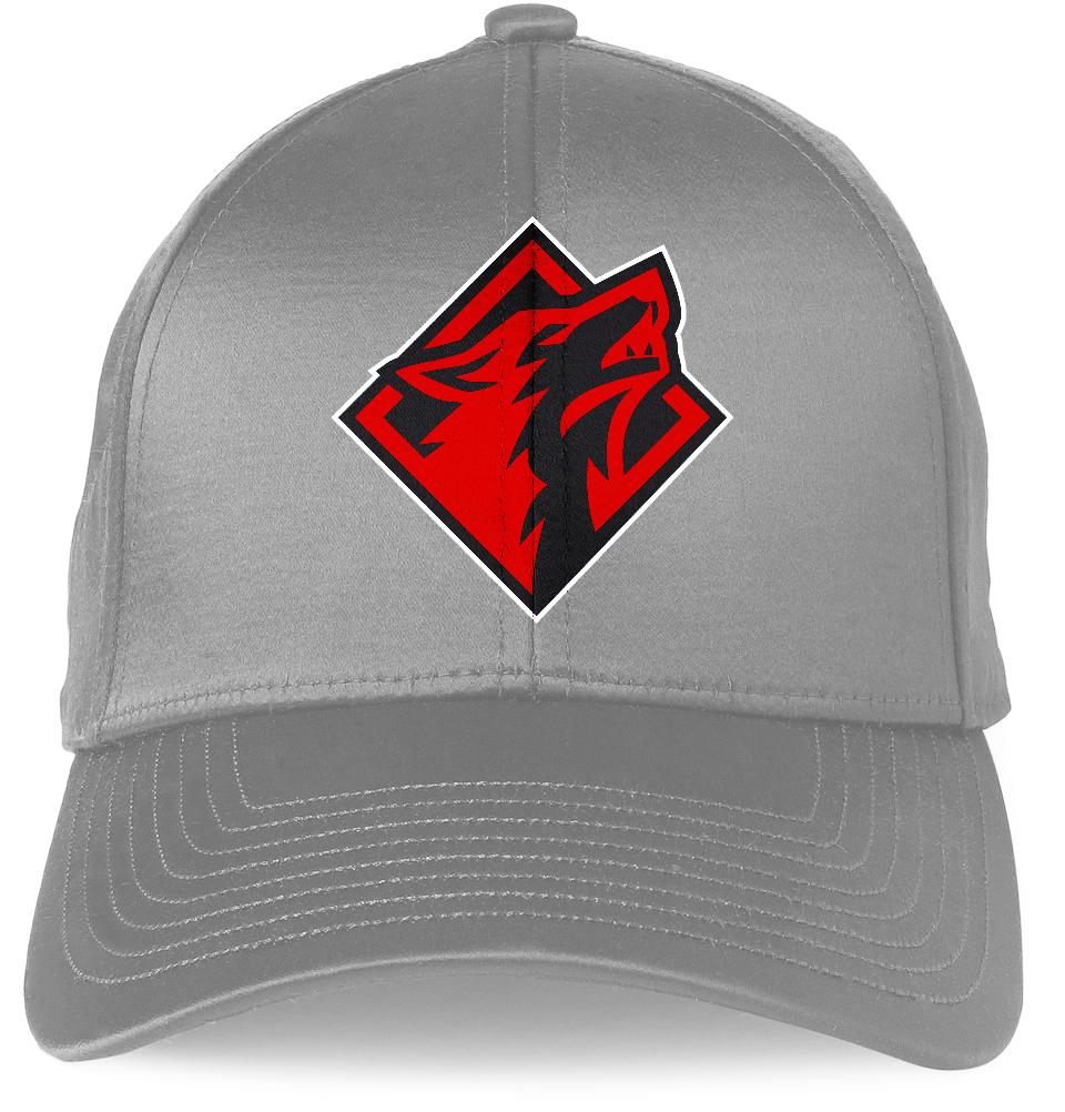 Team: 495 Wolfpack (JV) | LI Hot Stove Baseball